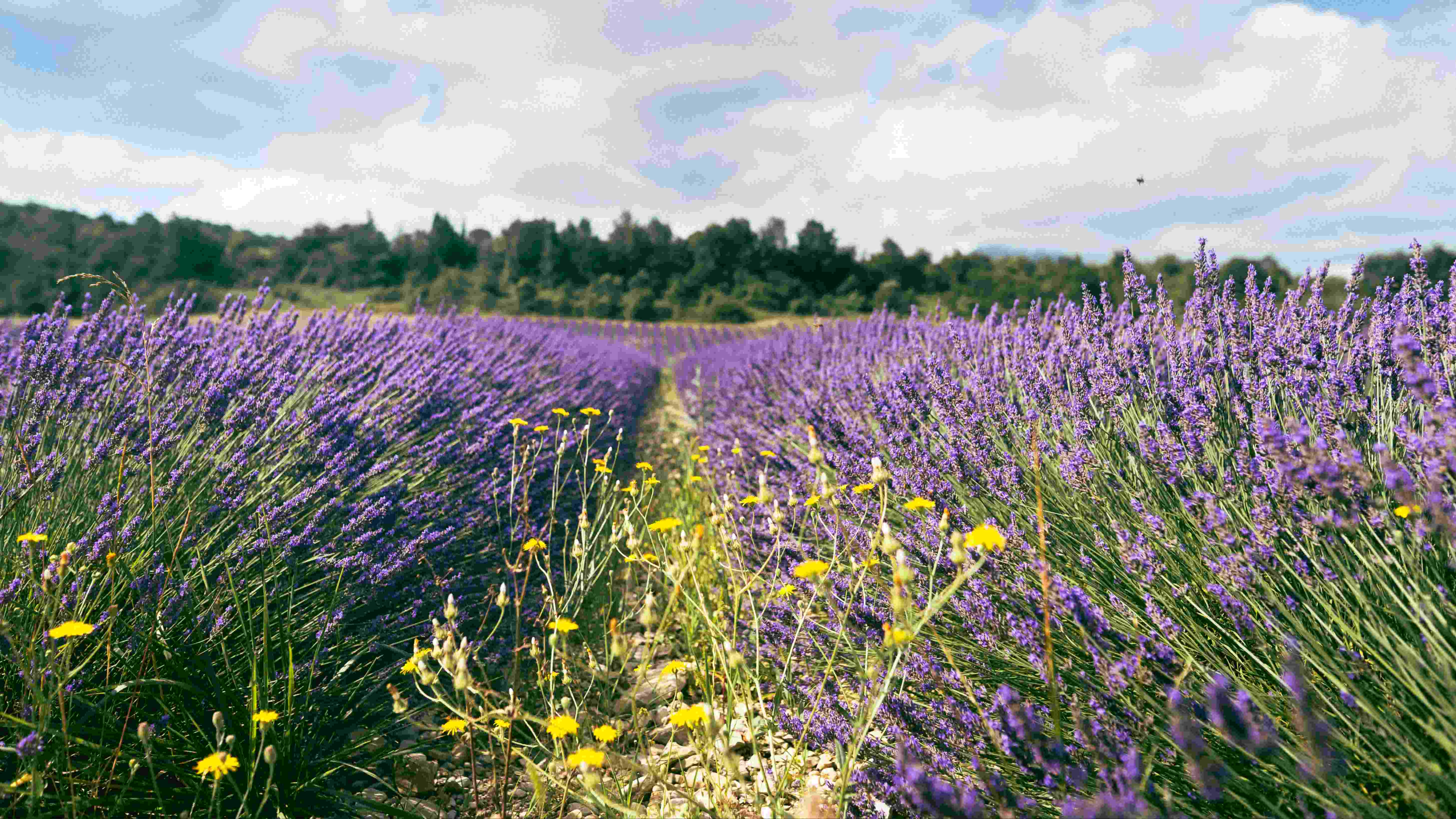 Cycling Apparel Outlet | LSRF™